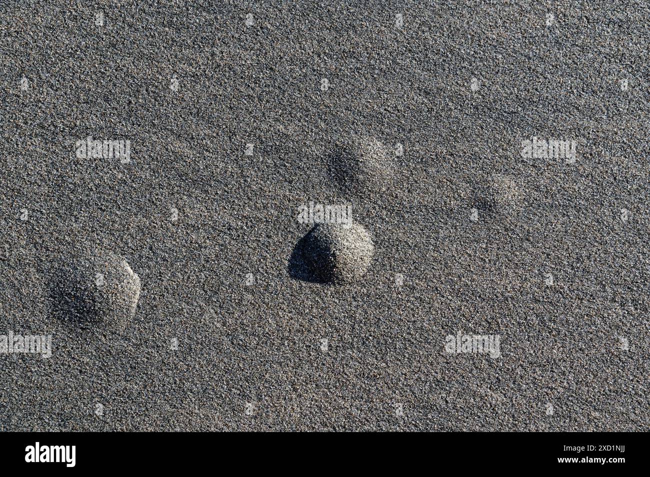 Small mounds of sand hi-res stock photography and images - Alamy