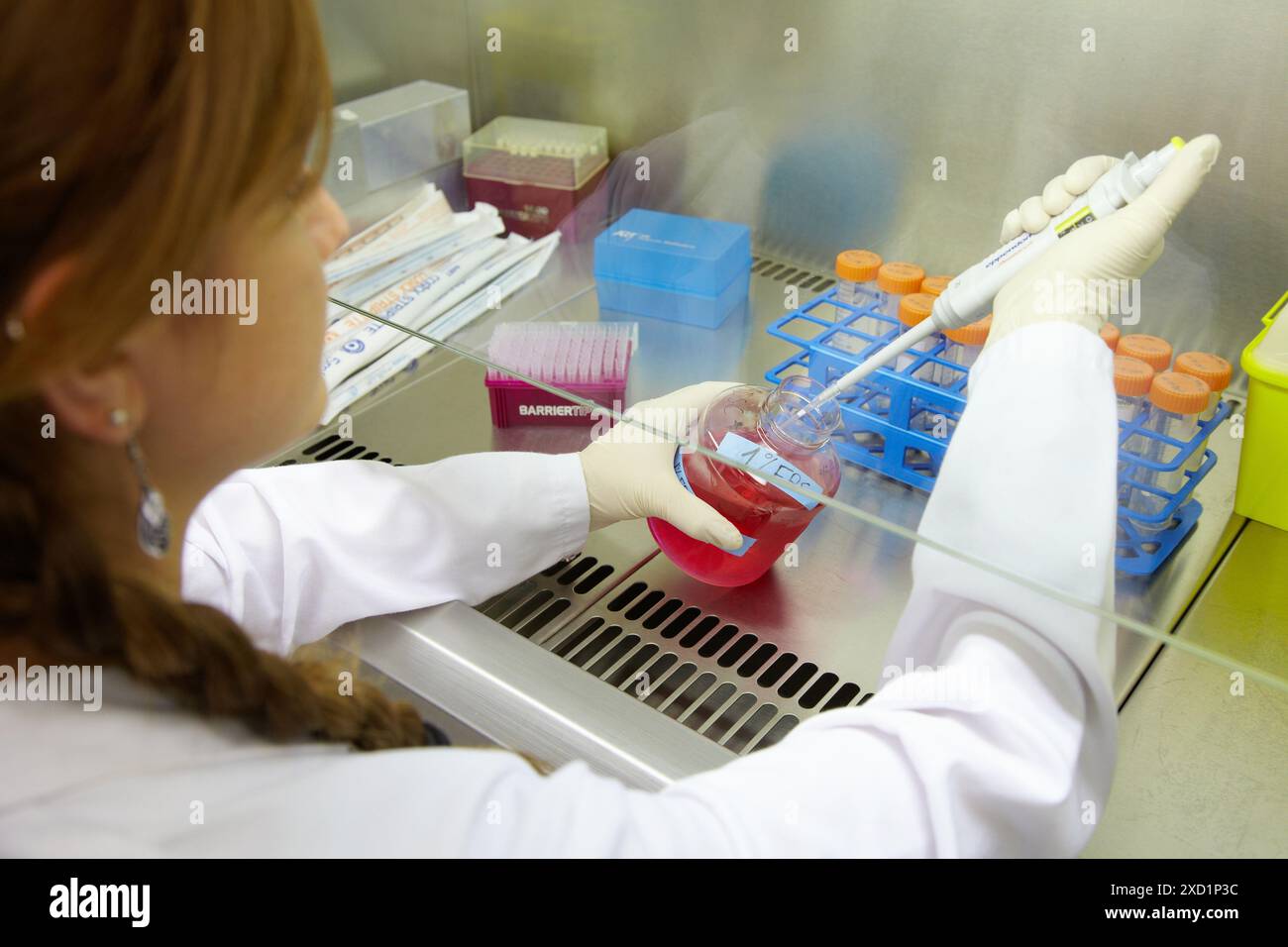 Cell culture room, cleanroom, Bioengineering and Microbiology ...