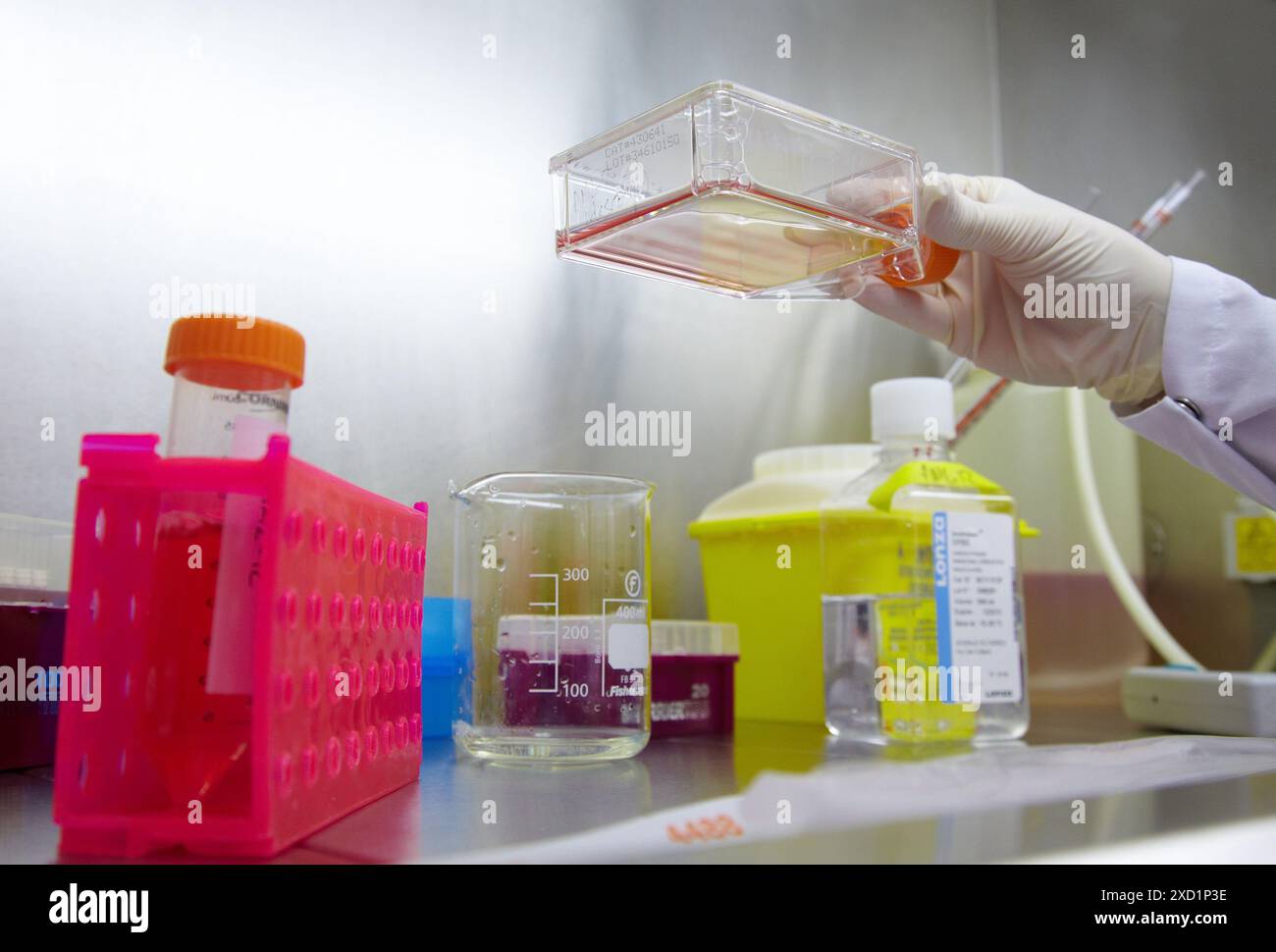 Cell culture room, cleanroom, Bioengineering and Microbiology ...