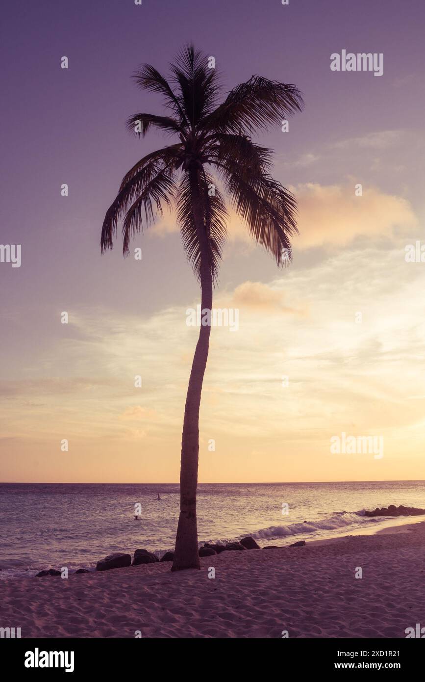 Vintage beach landscape palm hi-res stock photography and images - Alamy