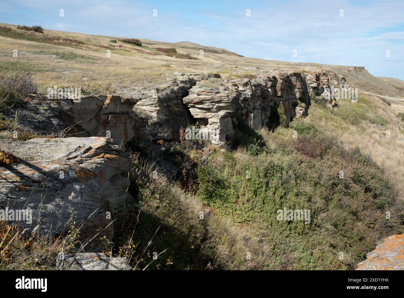 Head-Smashed-In Buffalo Jump is a World Heritage Site in Alberta in ...