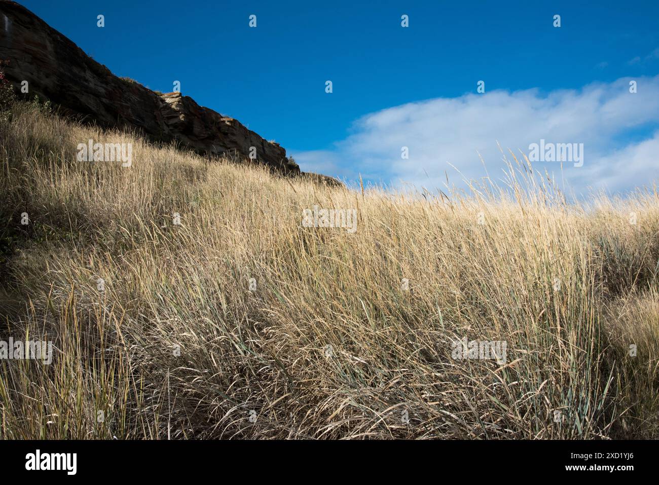 Head-Smashed-In Buffalo Jump is a World Heritage Site in Alberta in ...
