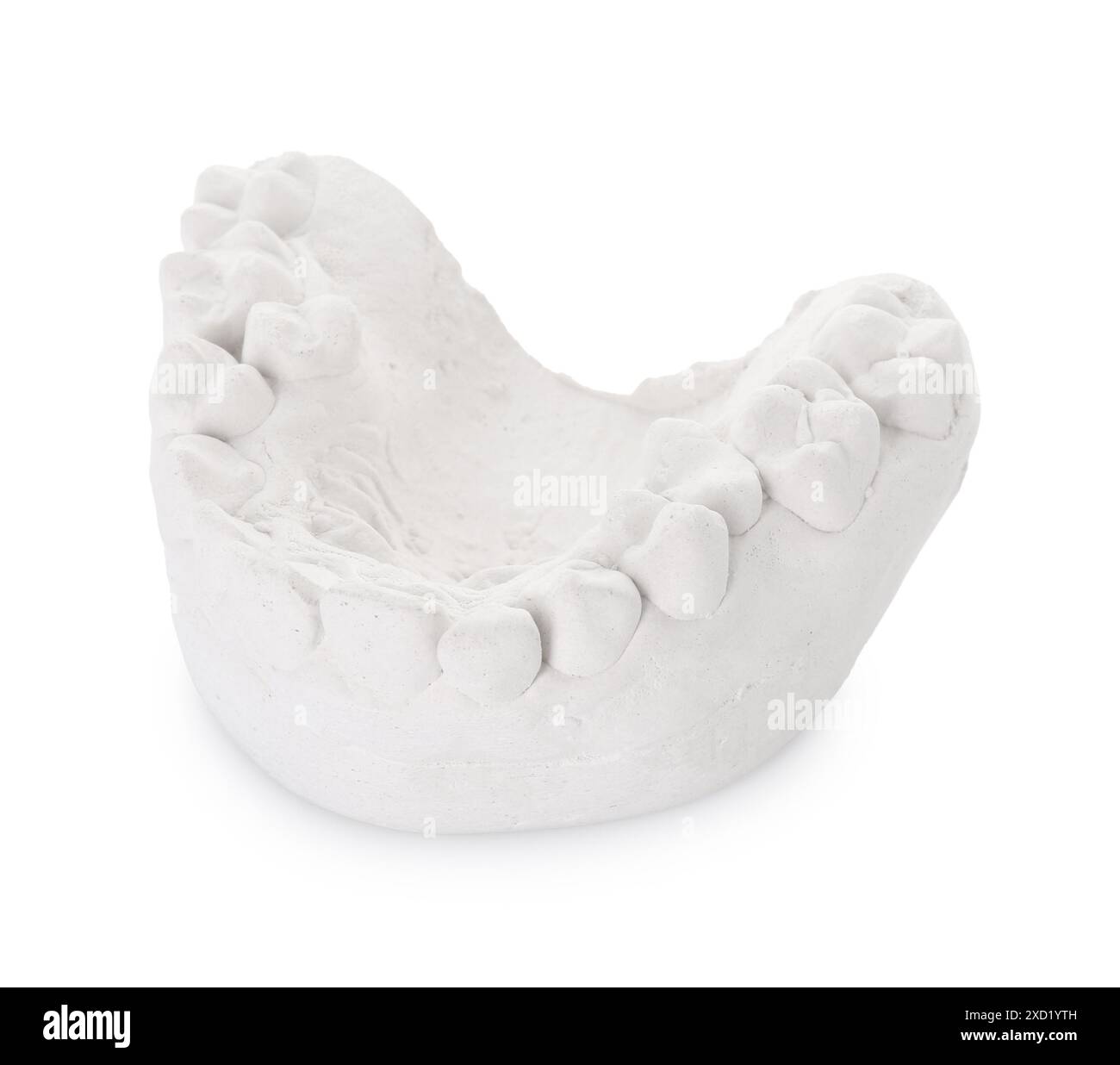 Dental gypsum model cast human Cut Out Stock Images & Pictures - Alamy