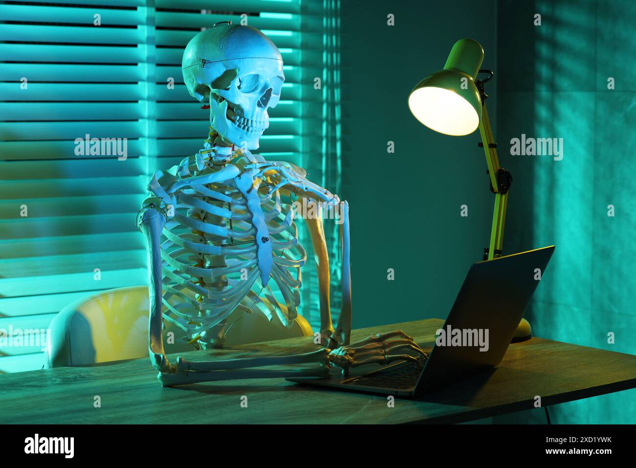 Waiting concept. Human skeleton sitting at wooden table with laptop ...
