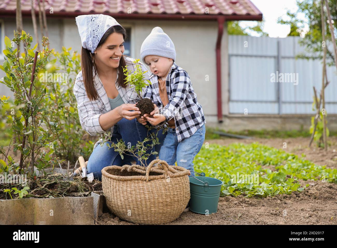 Mother and her cute son planting tree together in garden Stock Photo ...