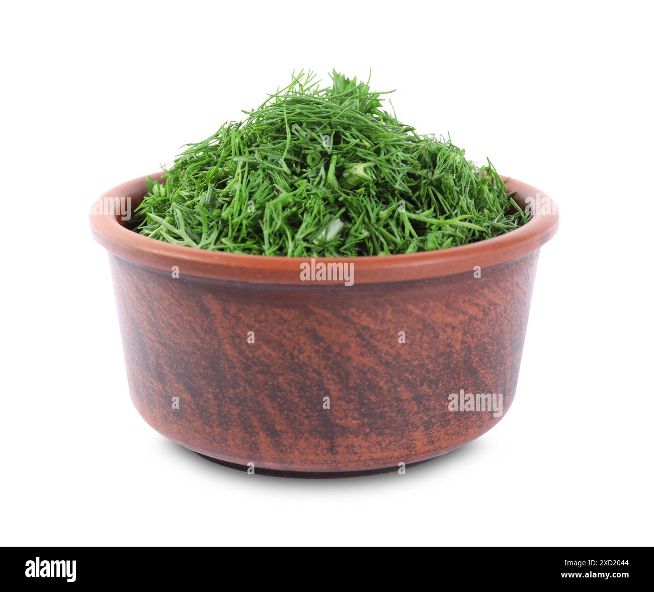 Green dill in vegetable garden Cut Out Stock Images & Pictures - Alamy