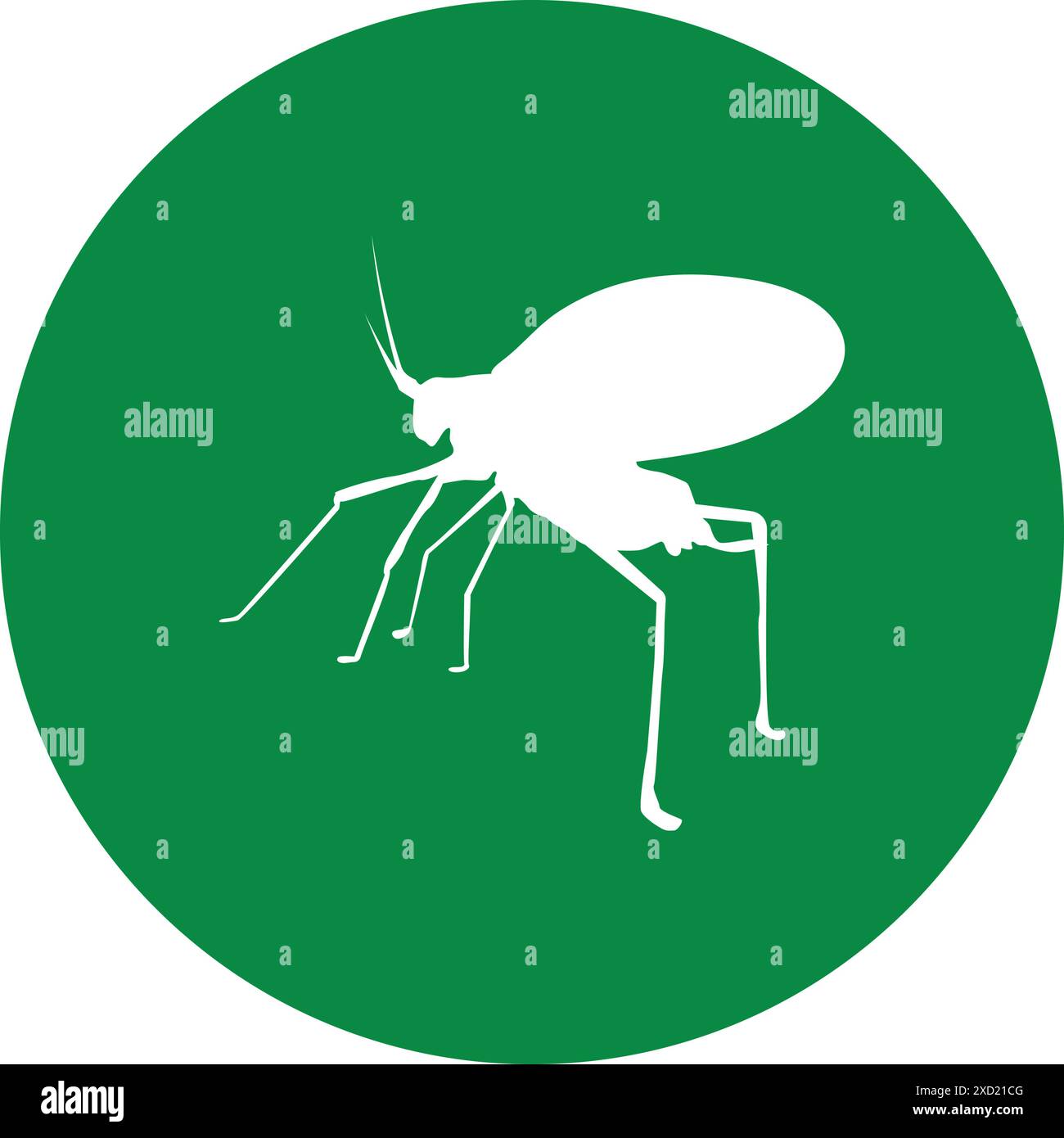 katydid grasshopper icon illustration design Stock Vector Image & Art ...