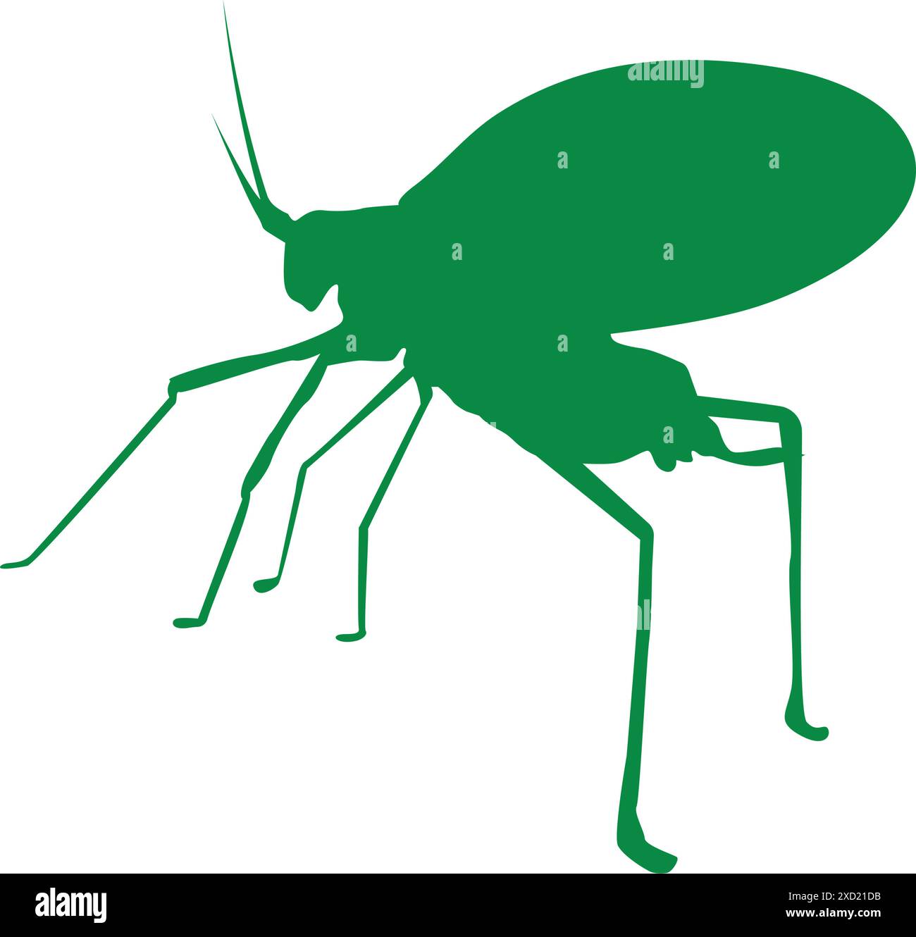 katydid grasshopper icon illustration design Stock Vector Image & Art ...