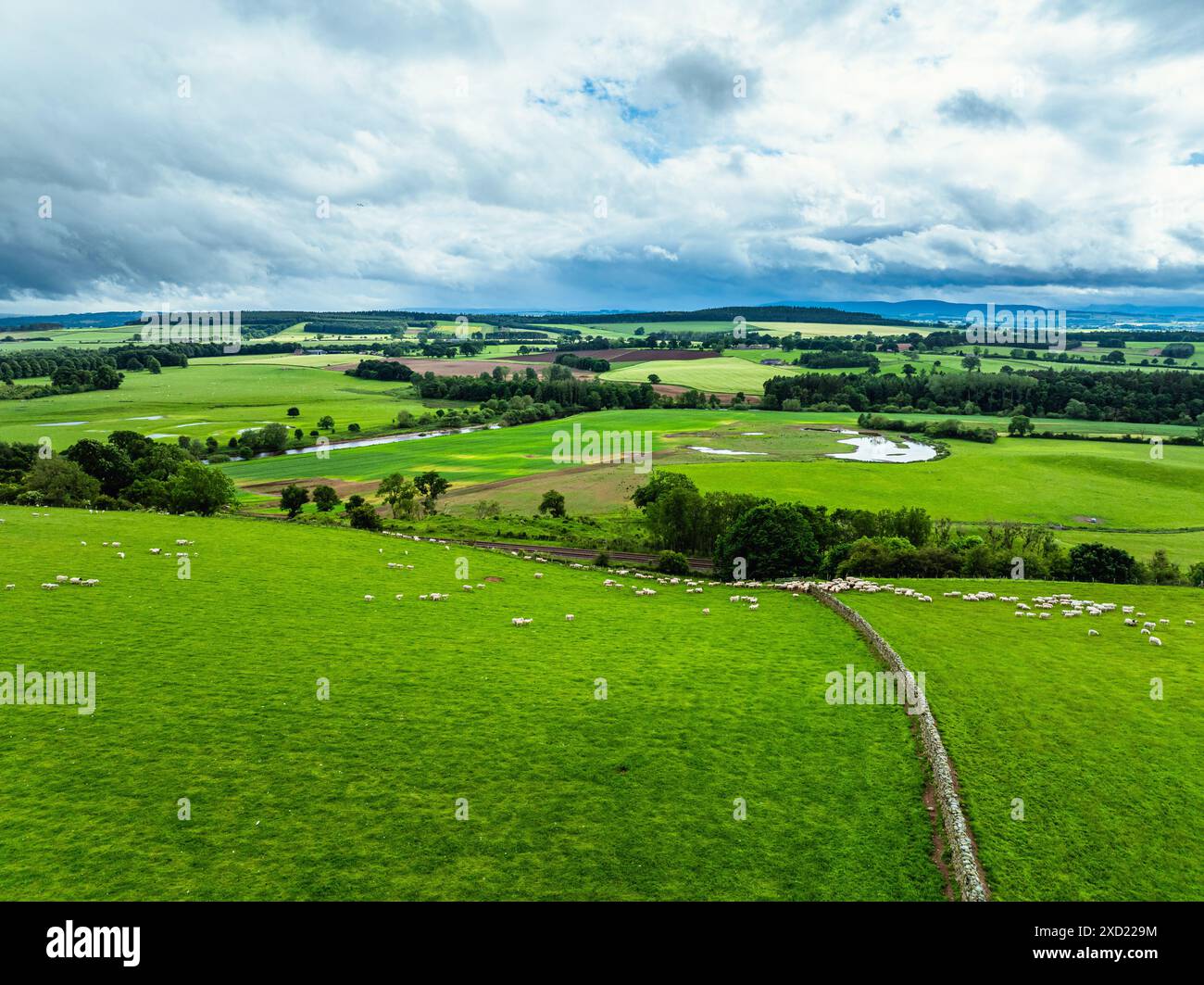 Farms and Fields over River Eden and River Eamont from a drone, Cumbria ...