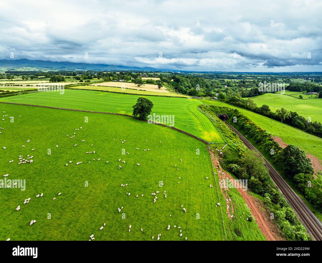 Farms and Fields over River Eden and River Eamont from a drone, Cumbria ...