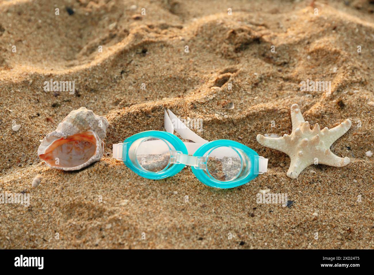 New swimming goggles, starfish and seashell on sand Stock Photo - Alamy