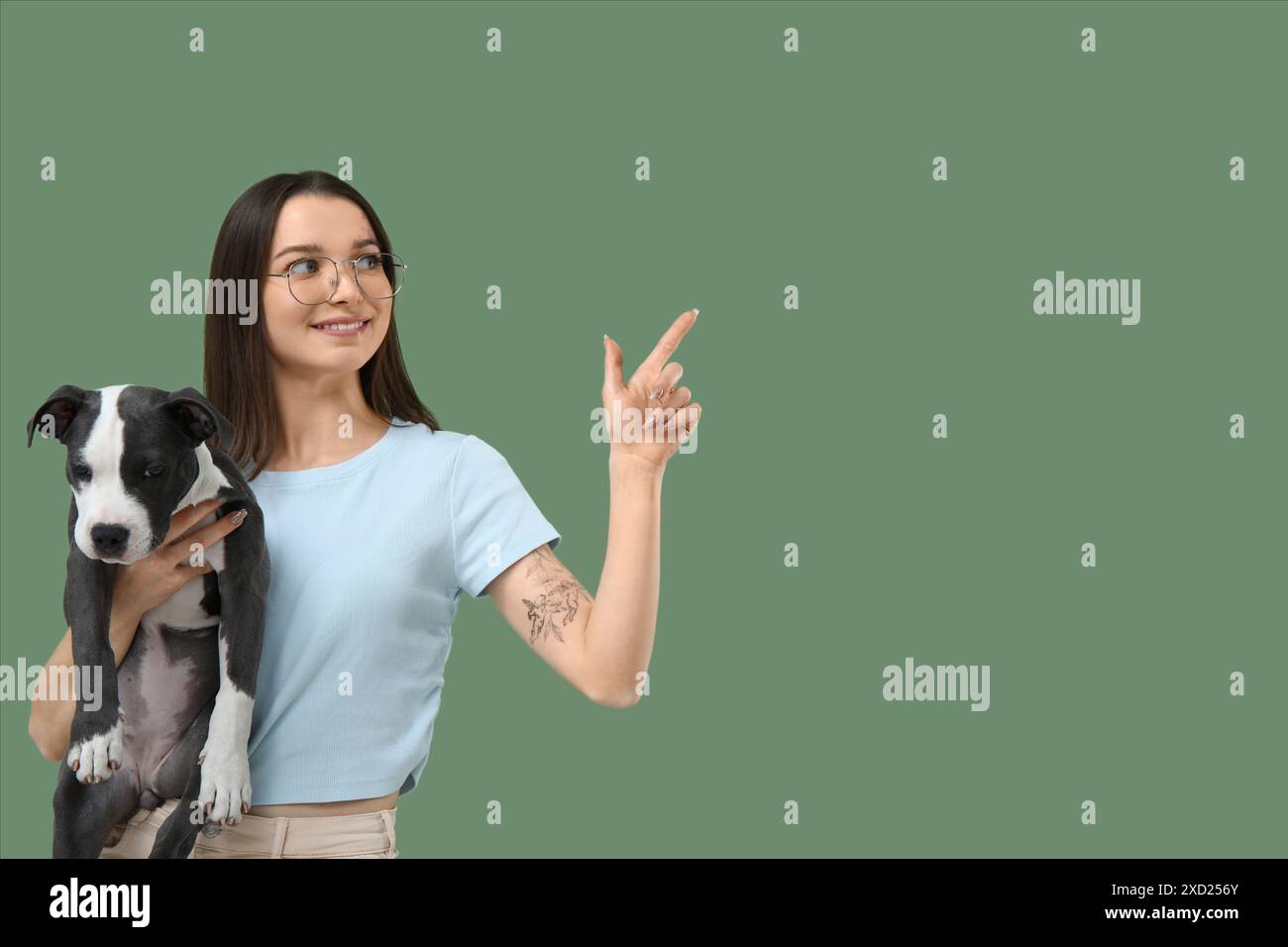 Beautiful young woman with cute staffordshire terrier puppy pointing at ...