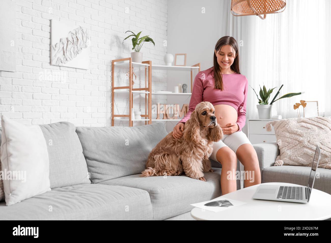 Sporty young pregnant woman with cocker spaniel sitting on sofa at home ...