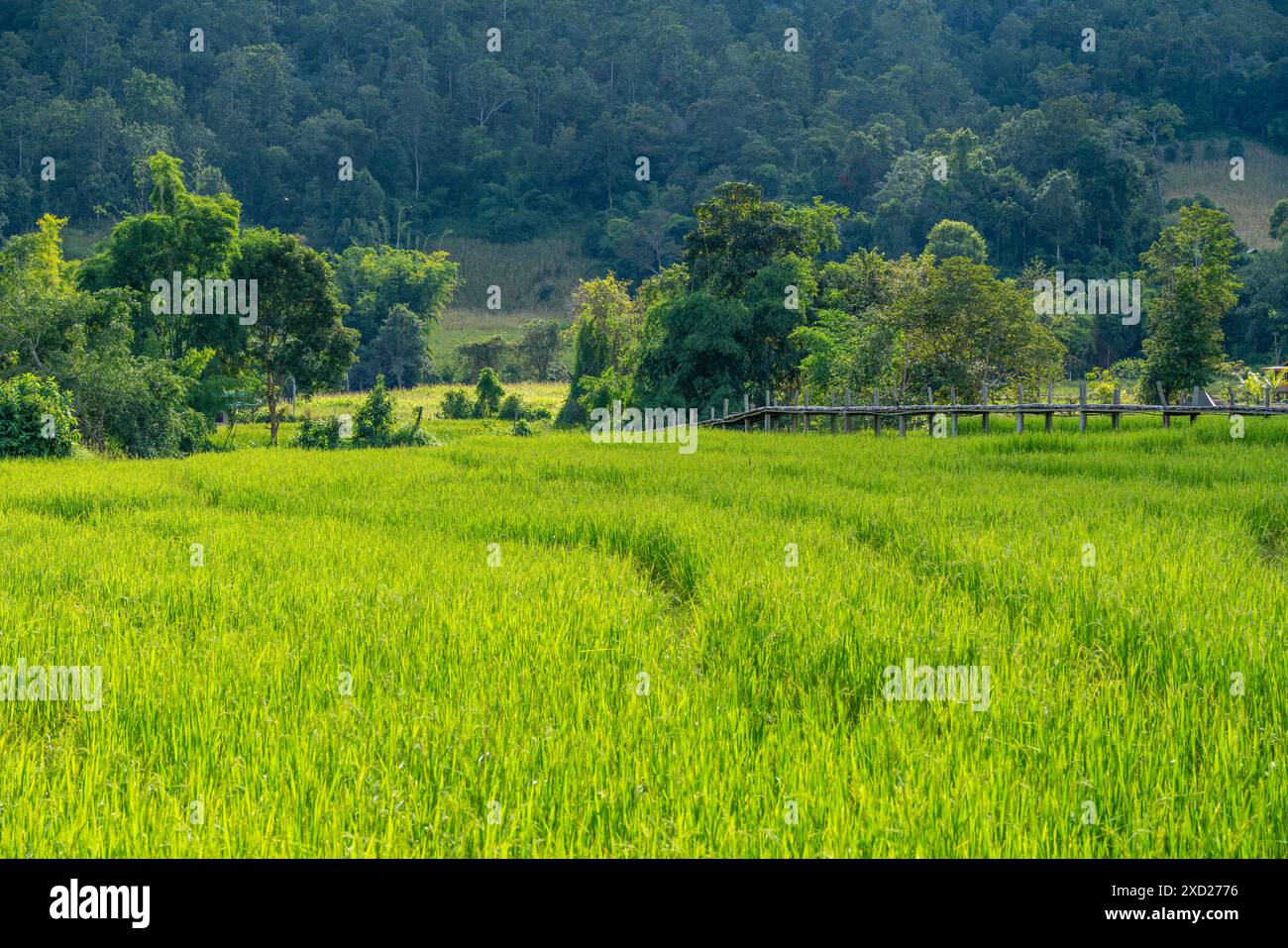 Pai Province of Thailand Stock Photo - Alamy