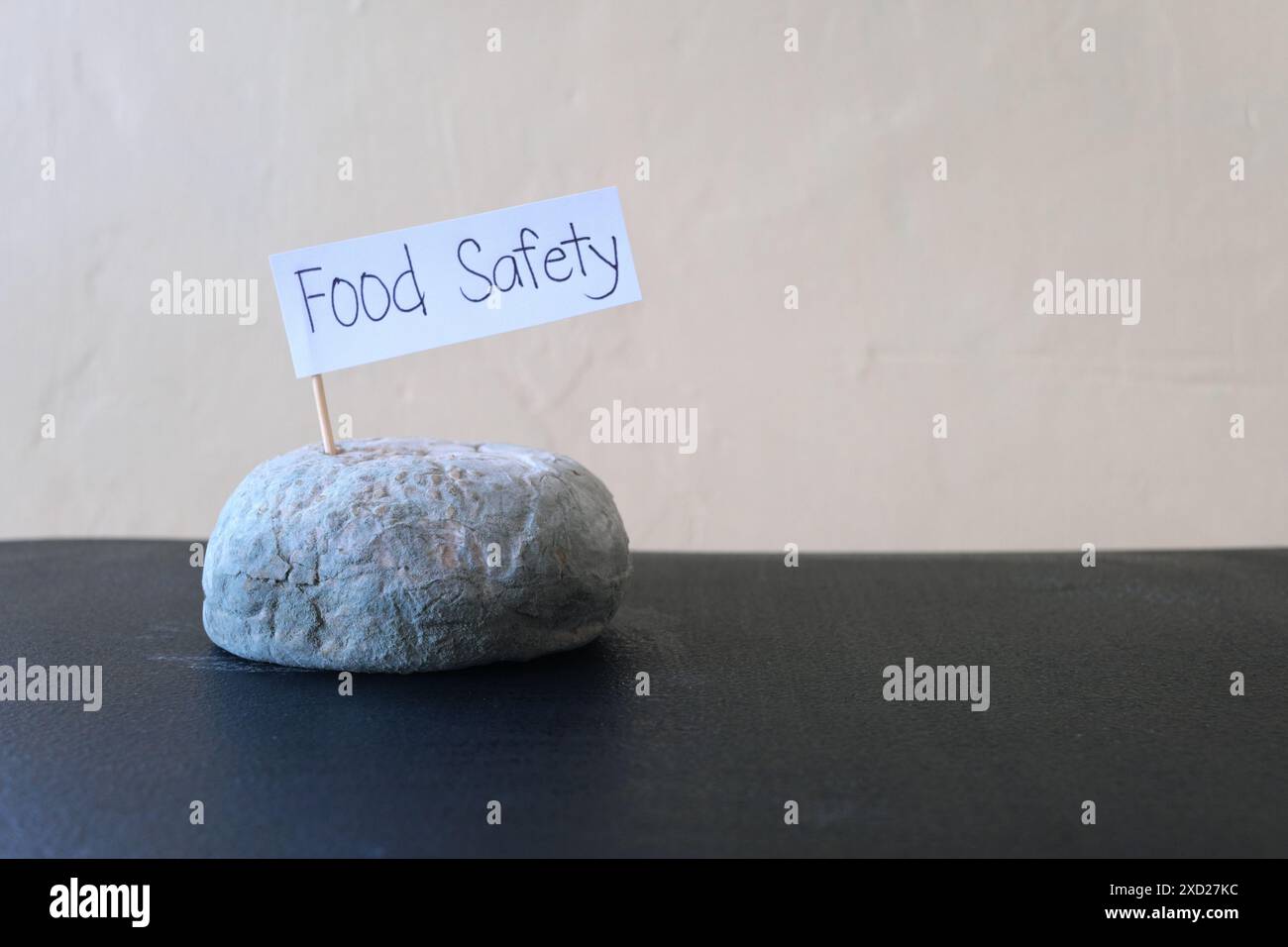 Closeup of a rotten moldy hamburger bun bread with Food safety label ...