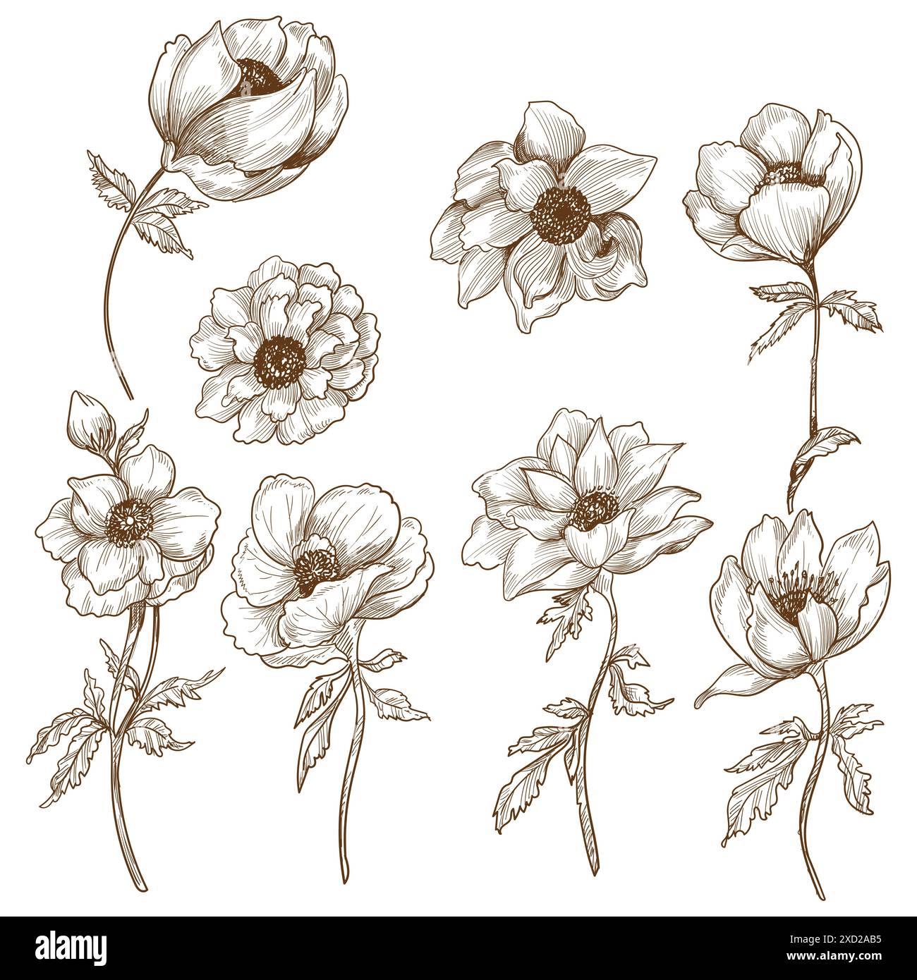 Decorative floral sketch set design Stock Vector Image & Art - Alamy