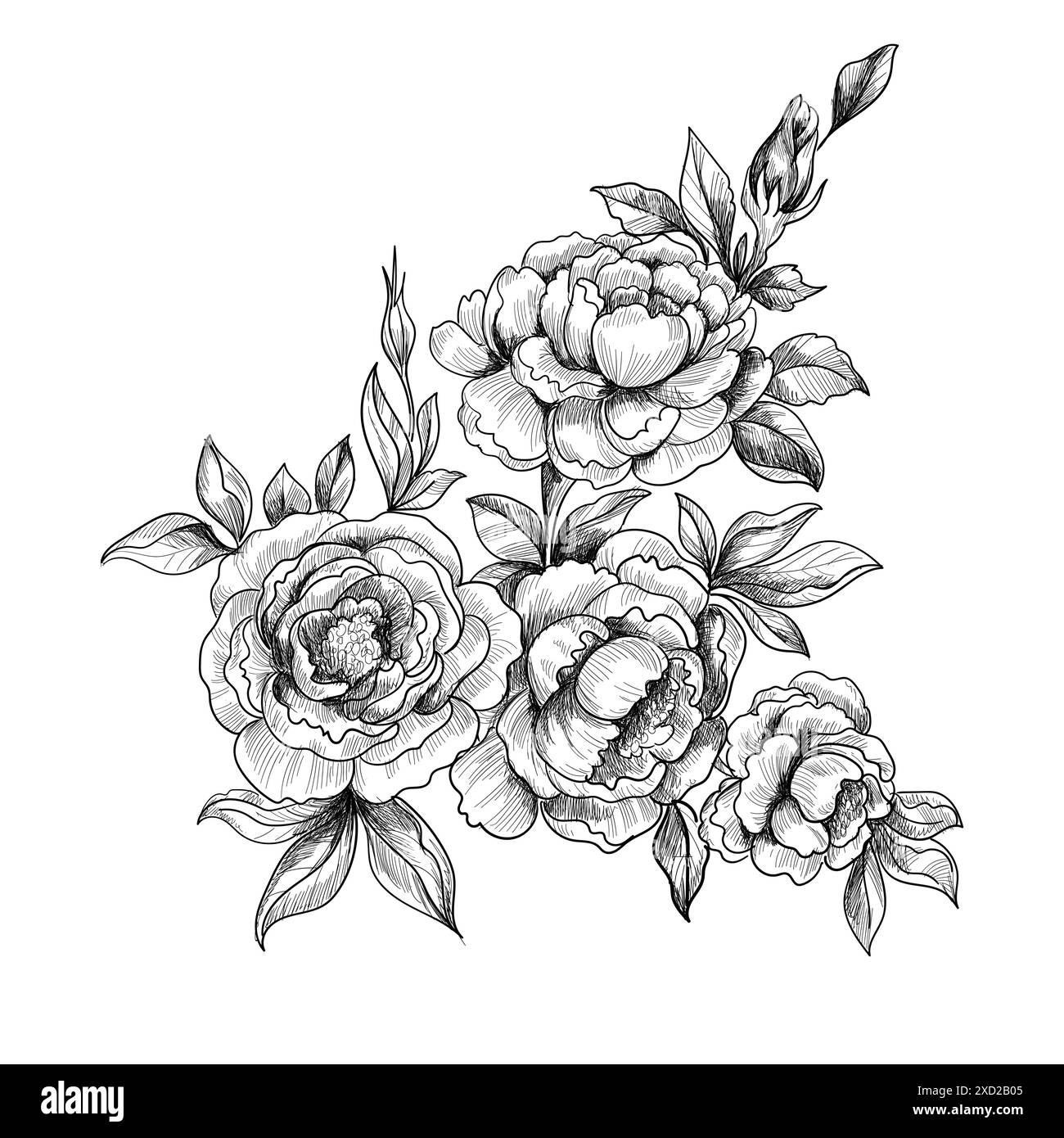 Floral sketch design hi-res stock photography and images - Alamy