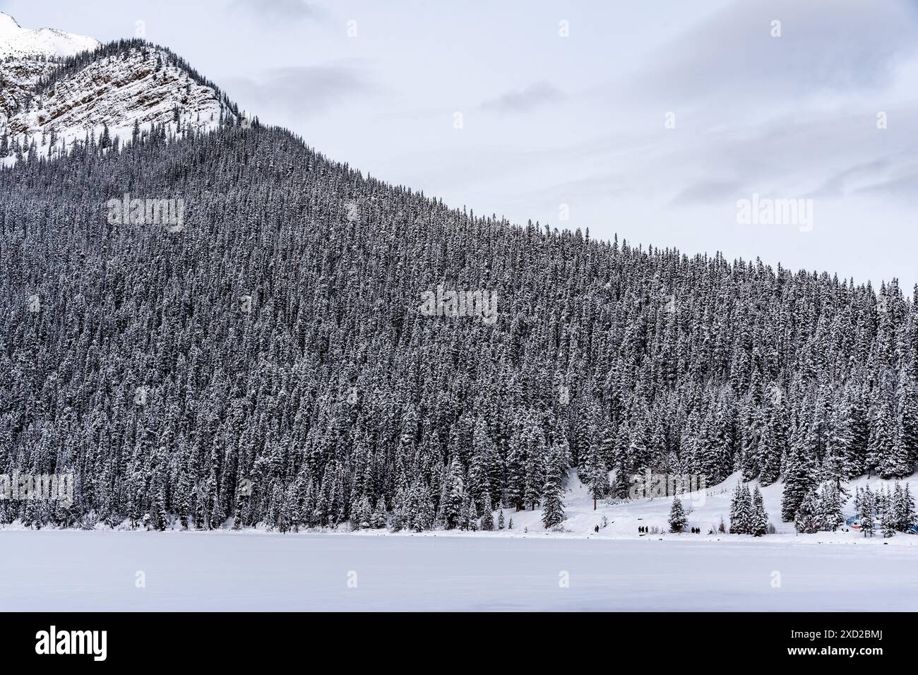 Winter scenery in Alberta with snow-covered mountains and landscape in ...