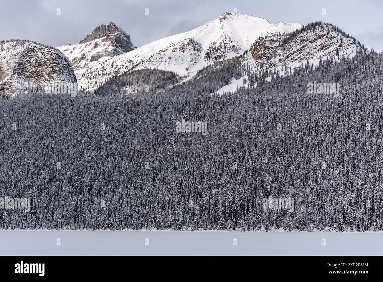 Winter scenery in Alberta with snow-covered mountains and landscape in ...