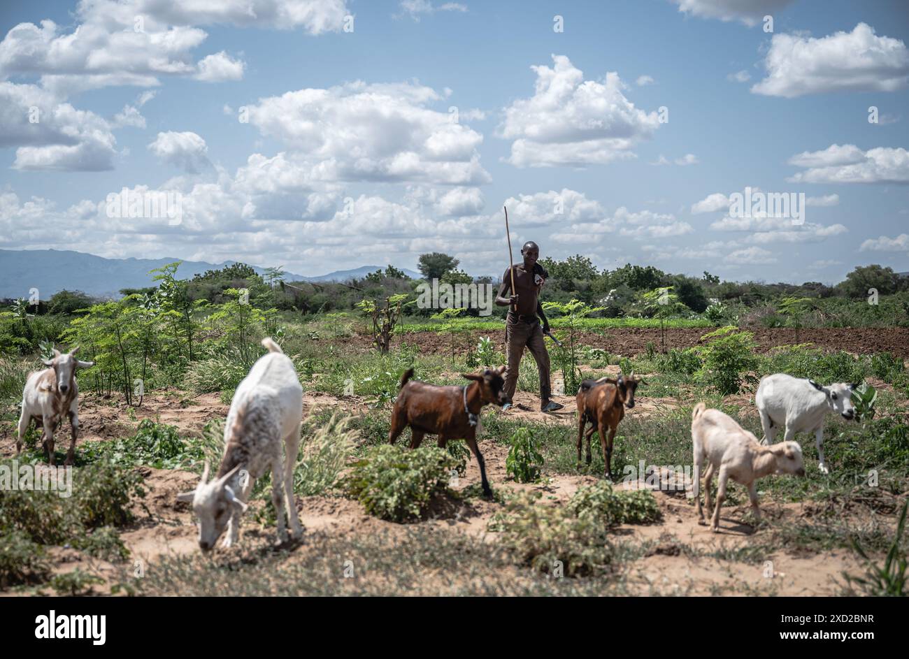 2024 tribe hi-res stock photography and images - Alamy
