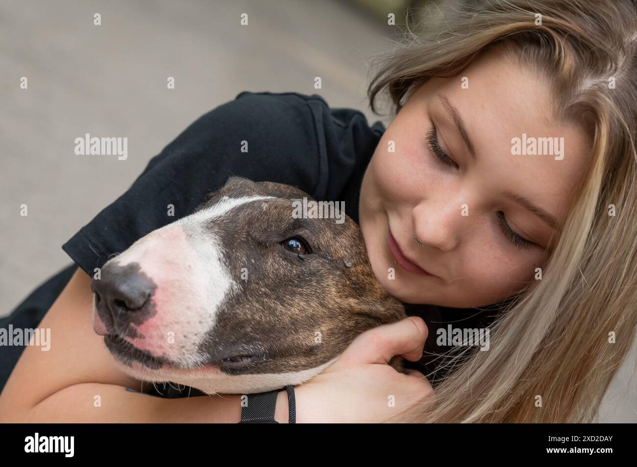 Portrait of caucasian woman hugging her bull terrier dog outdoors Stock ...