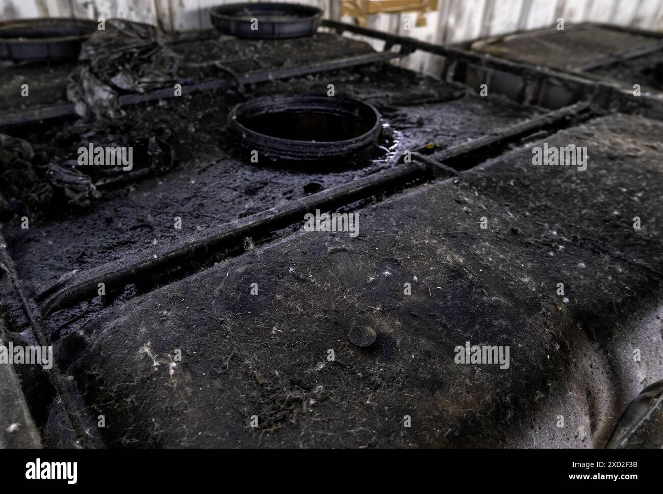 Detail of dirty and used oil, pollution and destruction of the ...