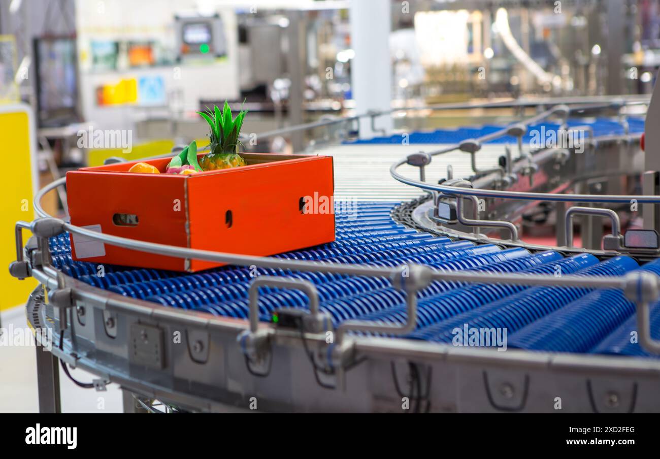 Package of fruits on conveyor. Packing fruits in box container in ...