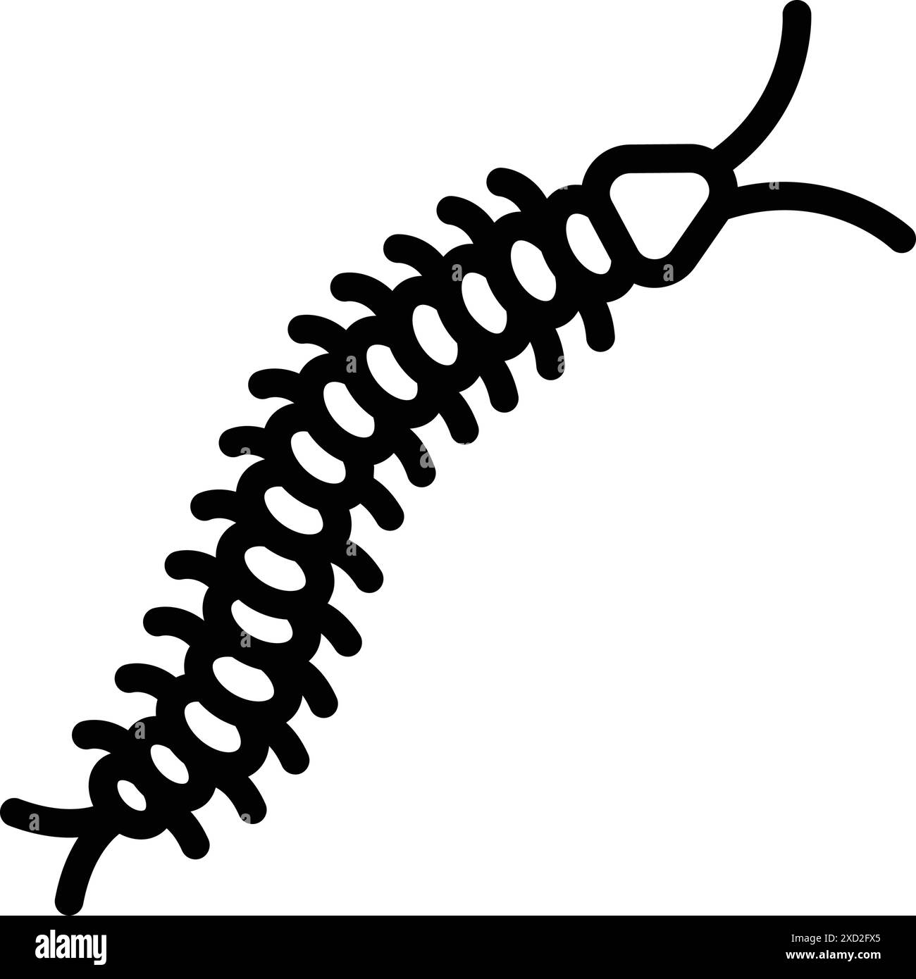 Icon for centipede,danger Stock Vector Image & Art - Alamy