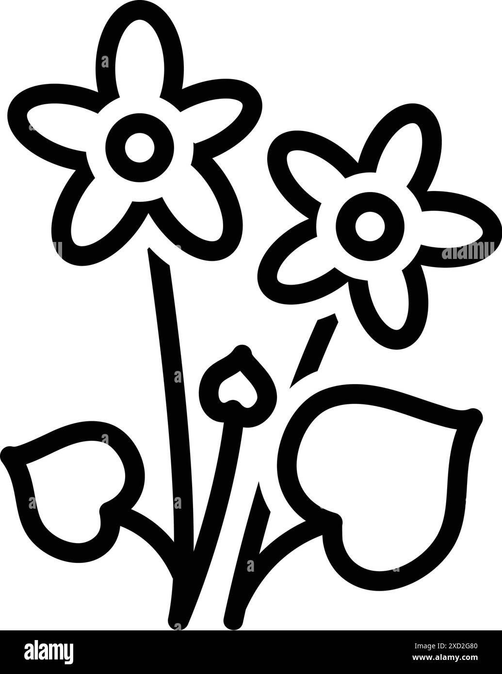 Blue harebell flowers Stock Vector Images - Alamy