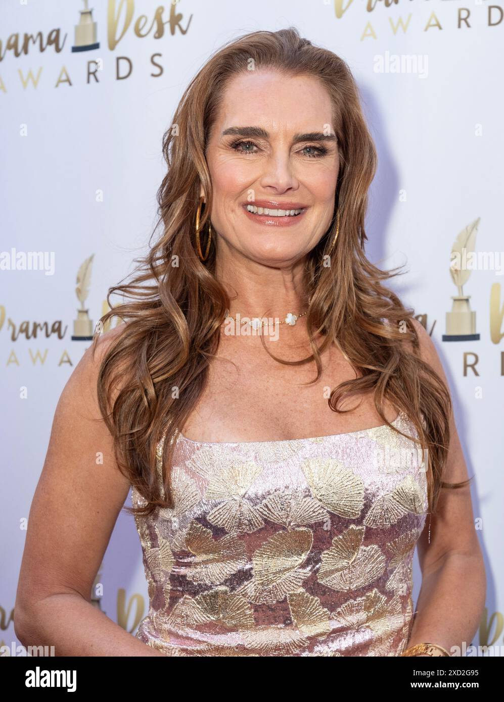 Brooke Shields attends the 2024 Drama Desk Awards at NYU Skirball ...