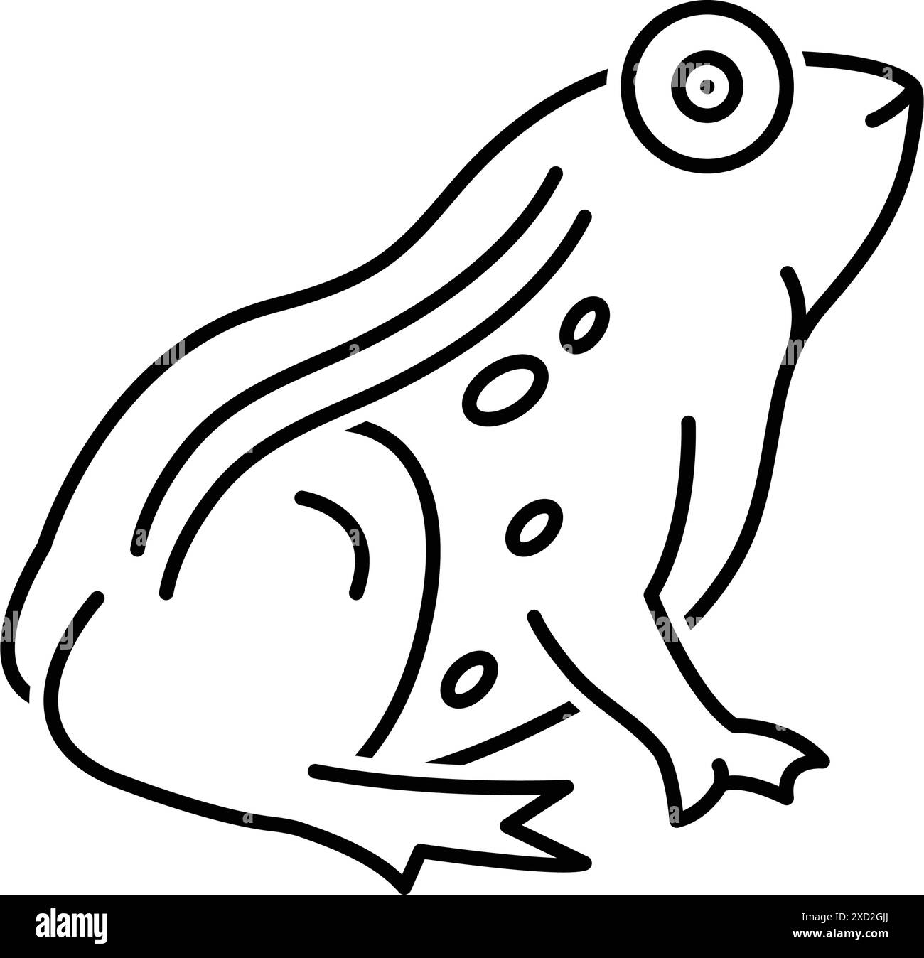 Icon for frog,toad Stock Vector Image & Art - Alamy