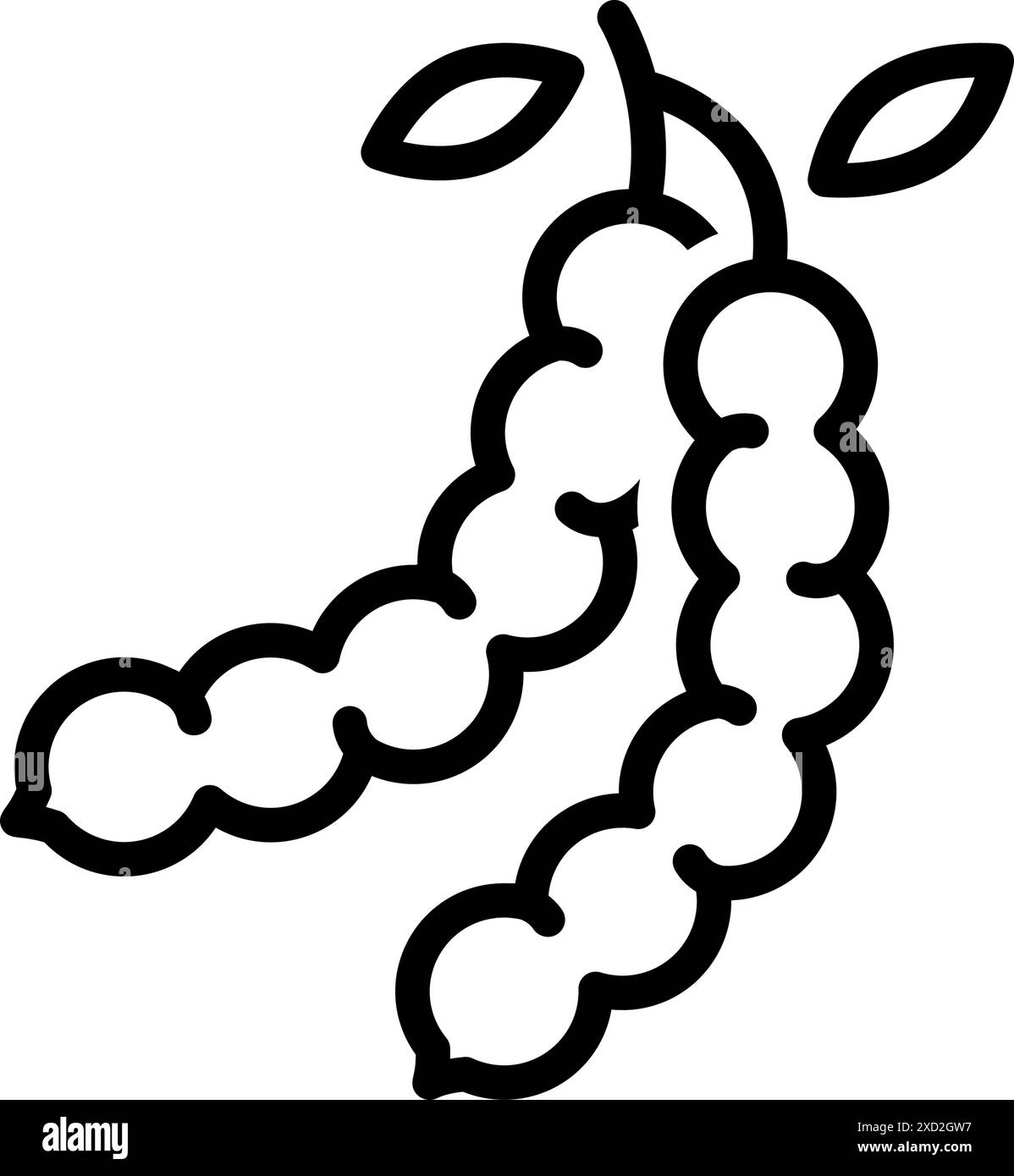 Icon for tamarind,bean tree Stock Vector Image & Art - Alamy