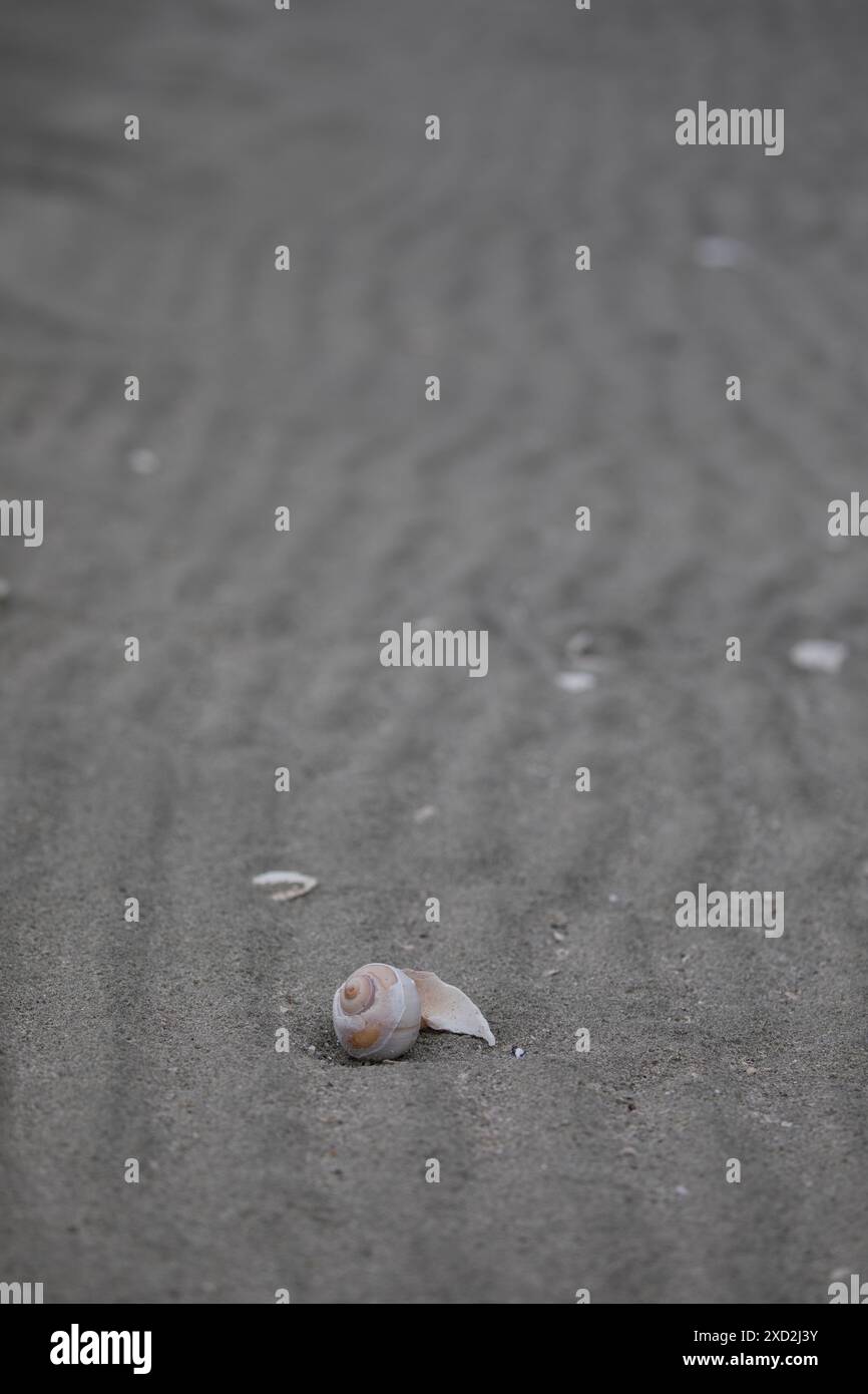 Mcmicking inlet hi-res stock photography and images - Alamy