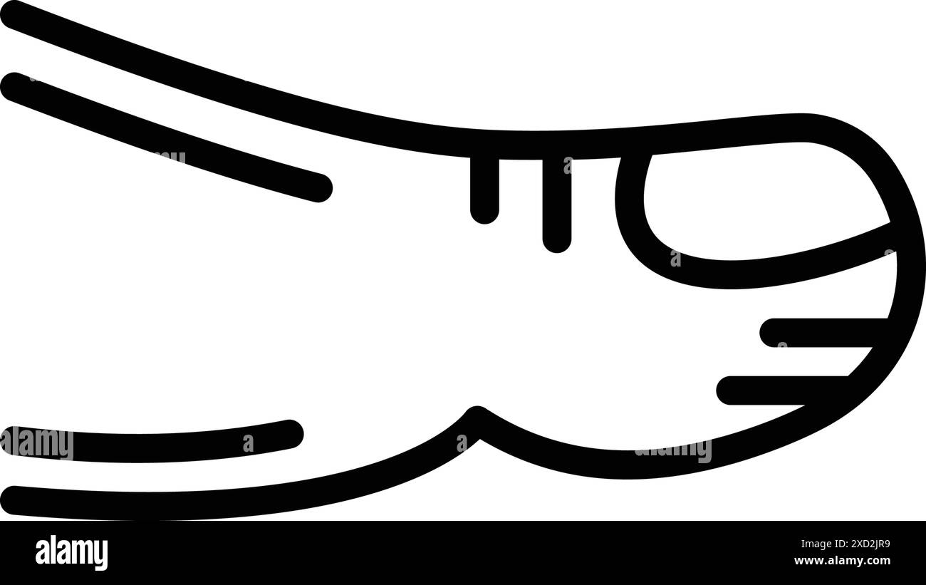 Toe anatomy hi-res stock photography and images - Alamy