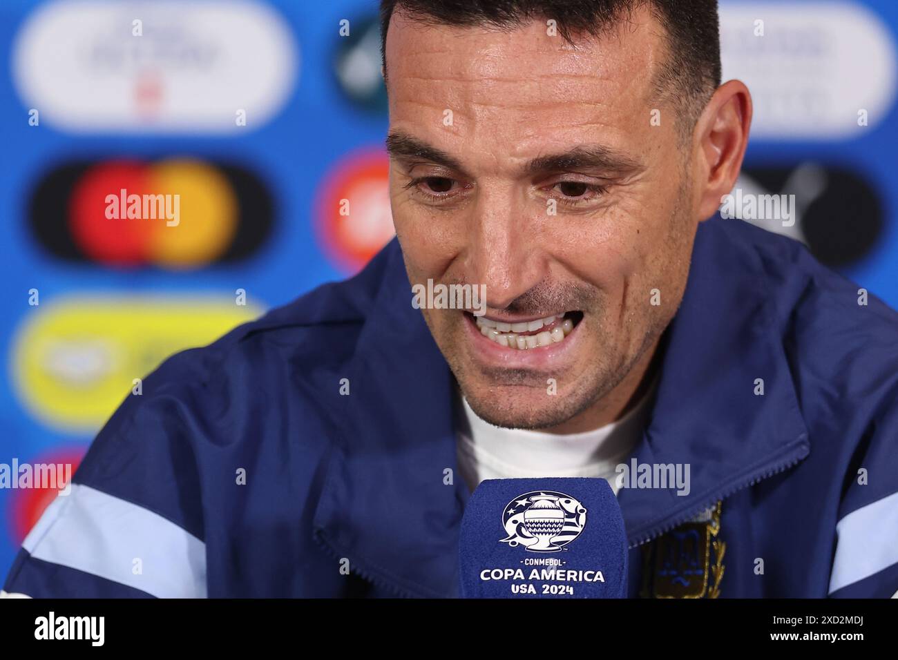 Argentina's head coach Lionel Scaloni () during a press conference ...