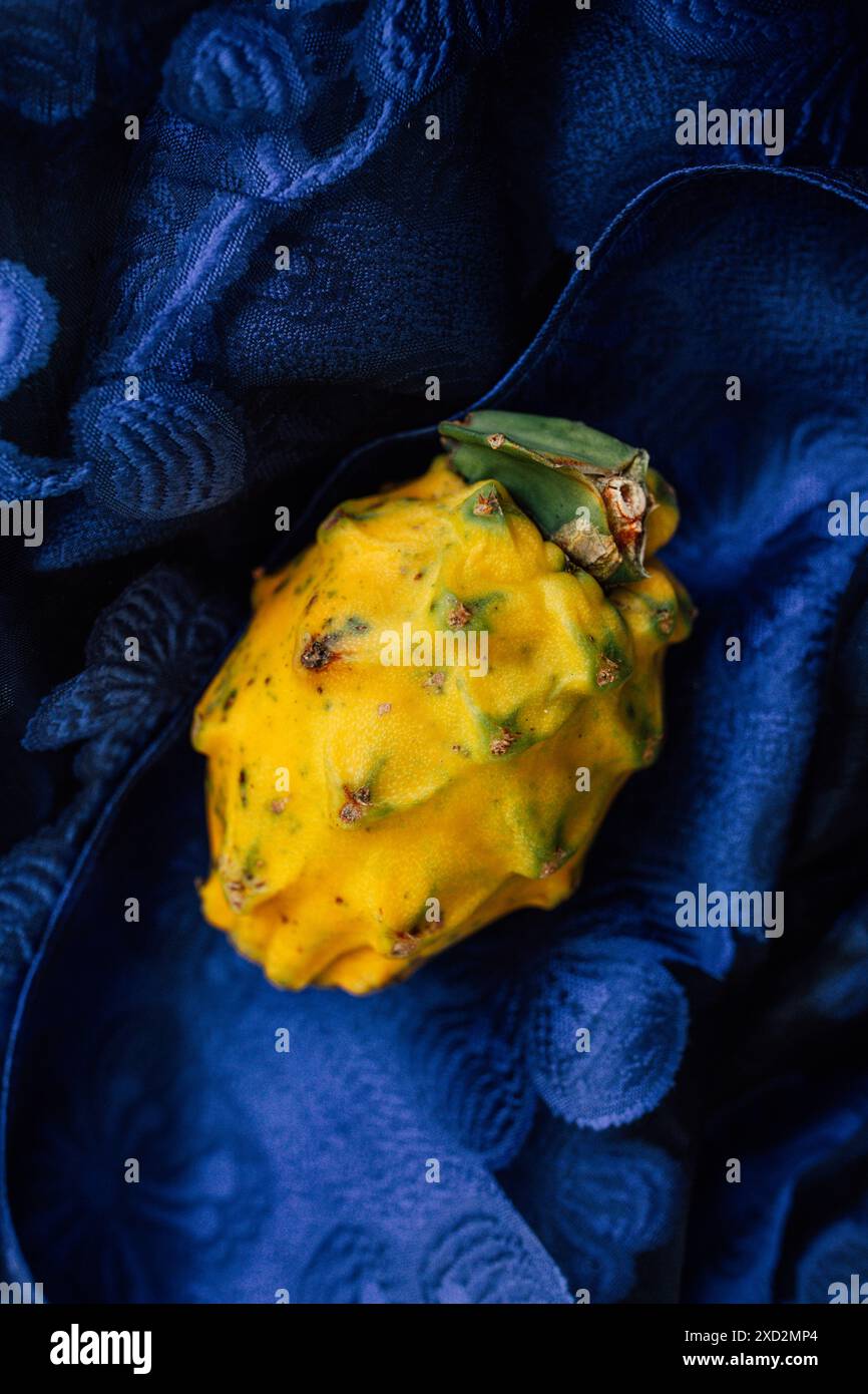 yellow whole dragon fruit, dragonfruit, pitaya on cobalt blue fabric ...