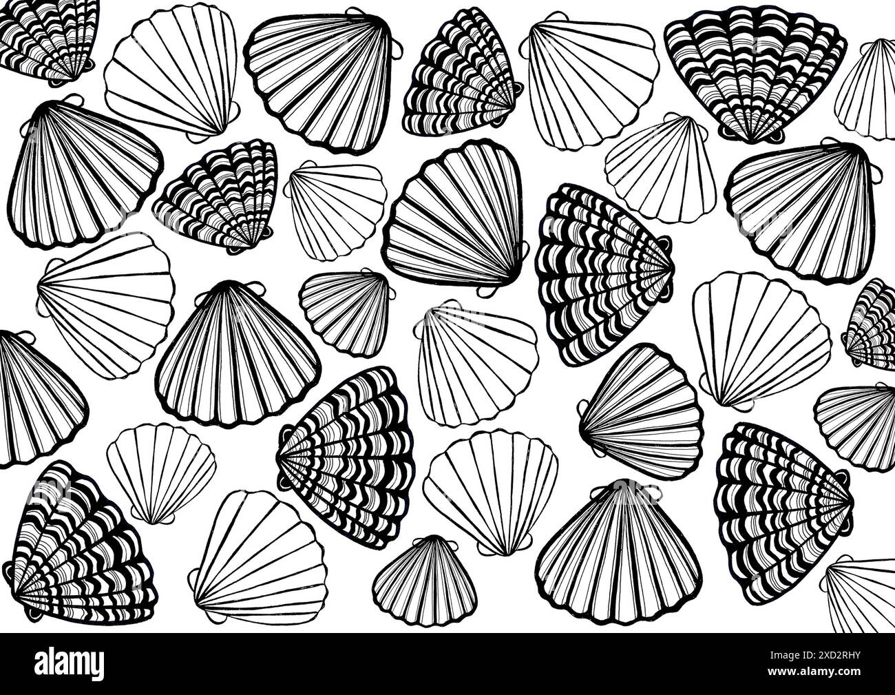 Set with seashells in black outline on white background. Different ...