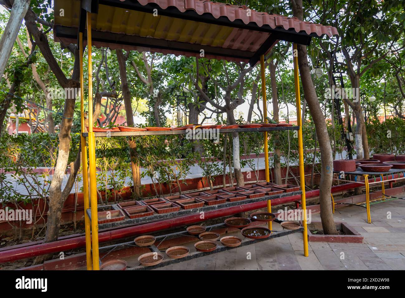 bird water drinking facility with clay pot filled with water at outdoor ...