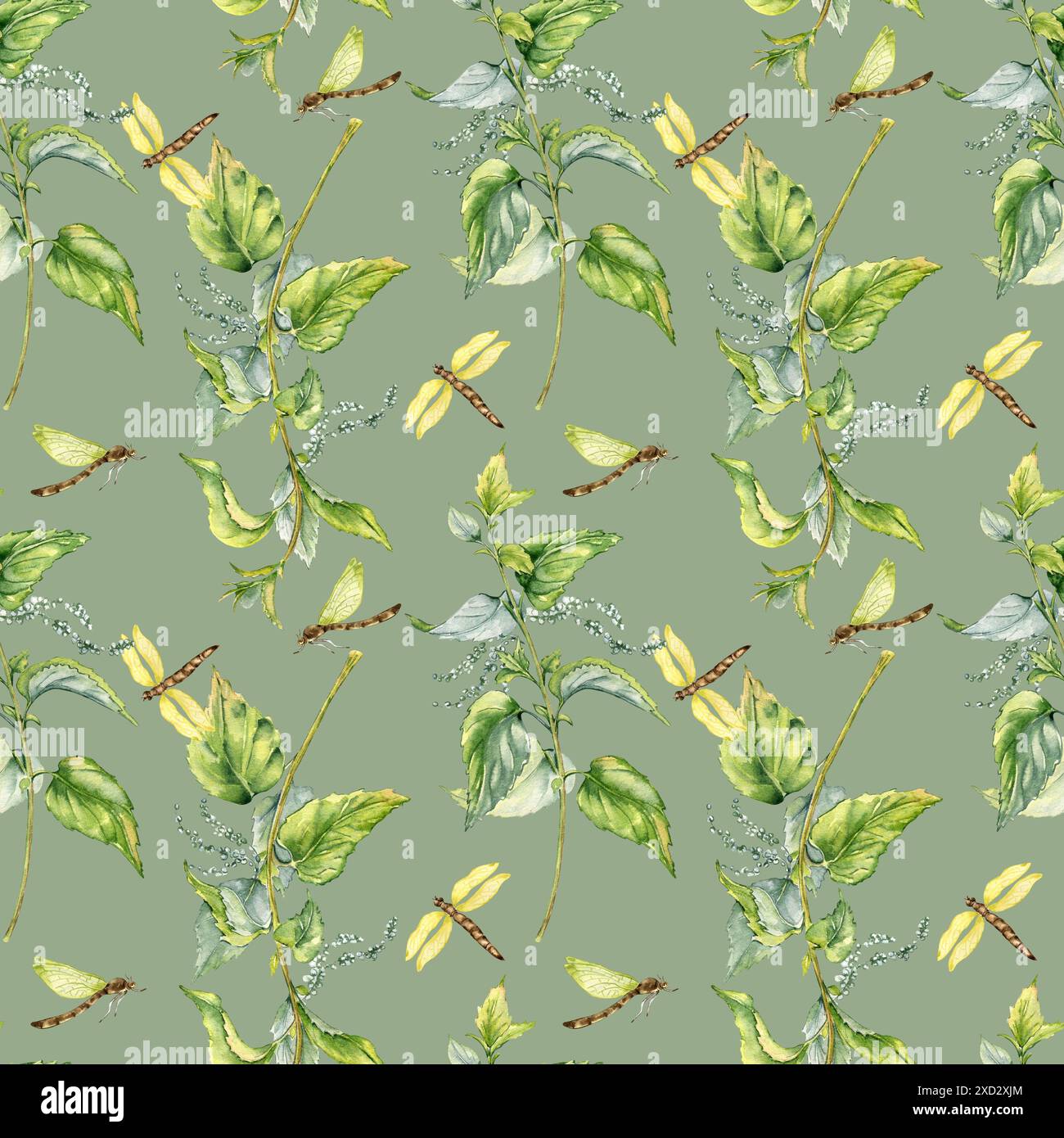 Herbal Plants For Urticaria at Alica Martel blog