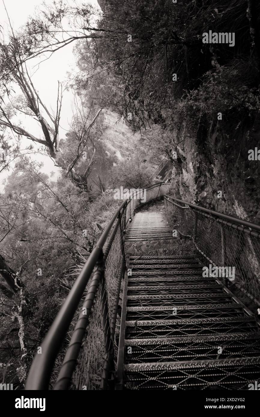 Looking down the steep Giant Staircase at trees and foliage along ...