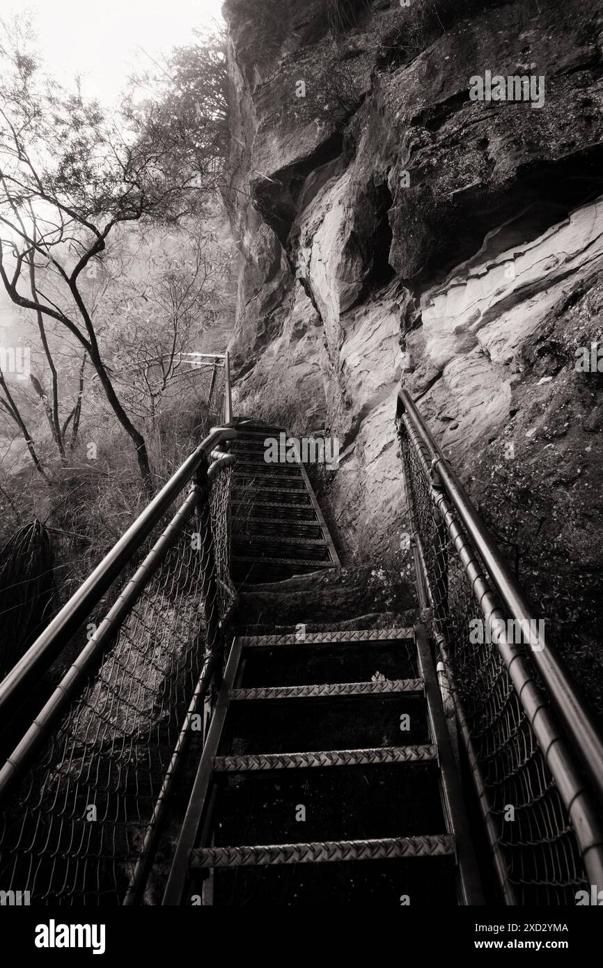 Walking up the cliff hugging Giant Stairway, Blue Mountains National ...