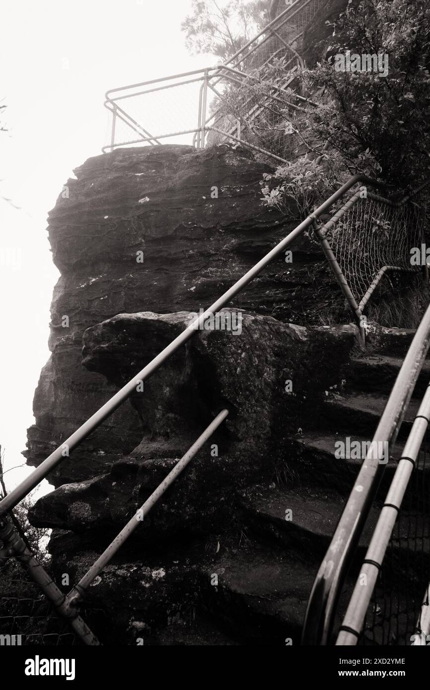 Steps hewn from rock, trees, metal tube and mesh railings frame a ...