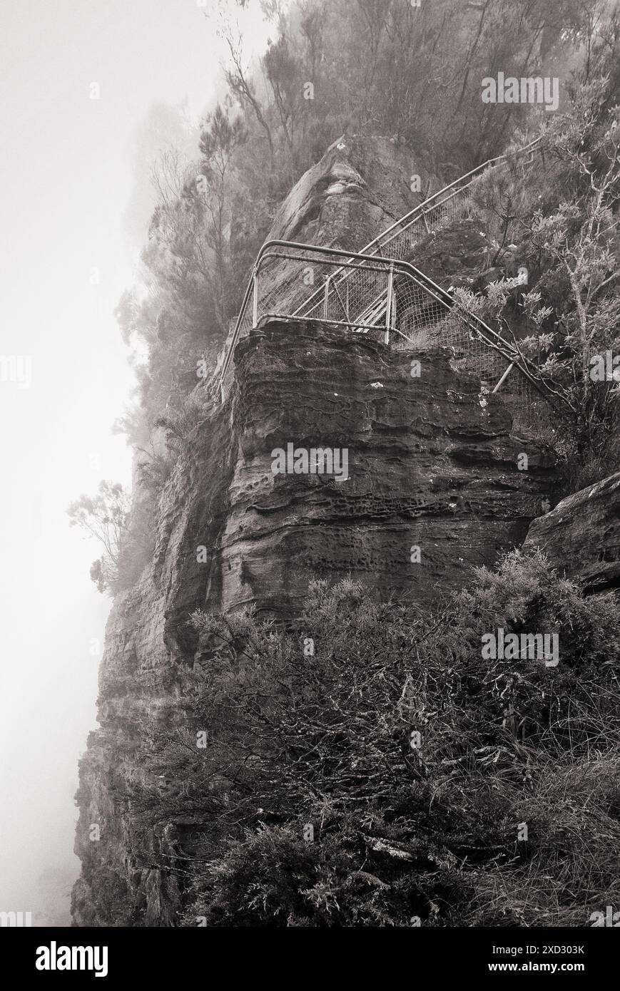 Looking up at a rock outcrop and cliff hugging trees and foliage along ...