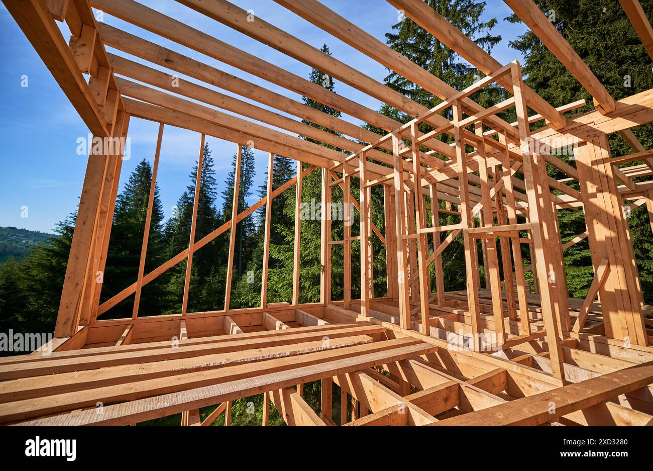 Residential wooden frame house being constructed near forest. Start of ...