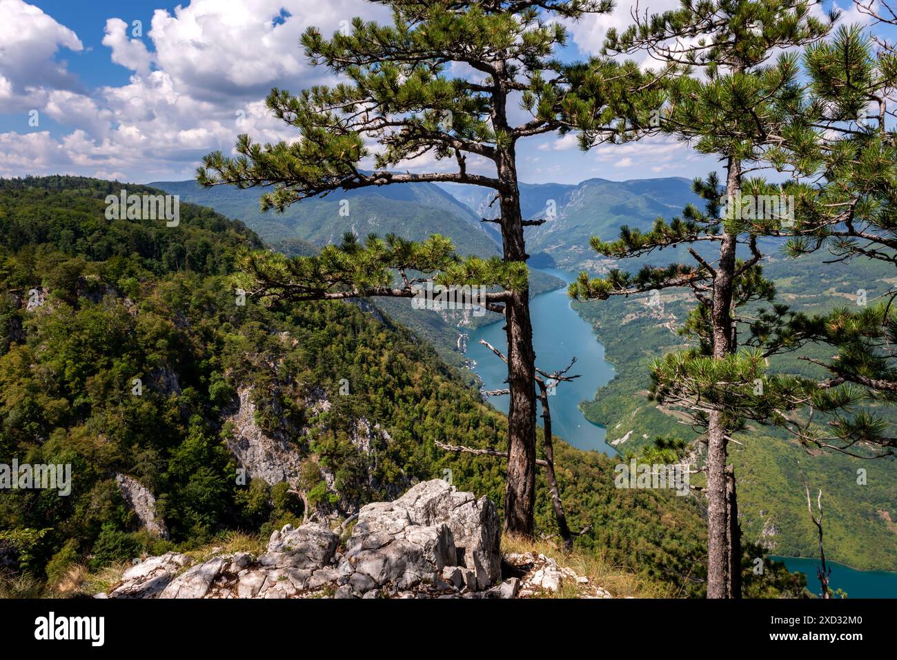 View of the canyon of the river Drina from the viewpoint Banjska stena ...