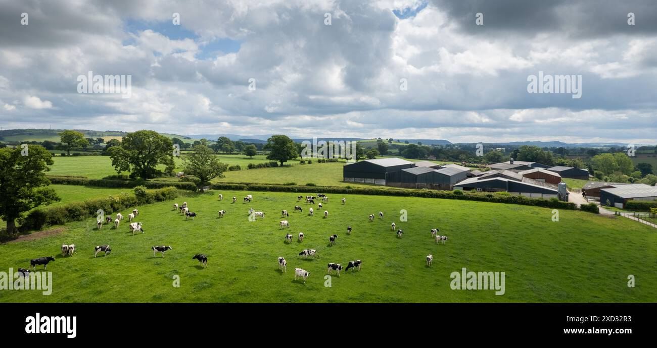 Dairy farmstead in the Eden Valley, Cumbria, showuing the buildings and ...
