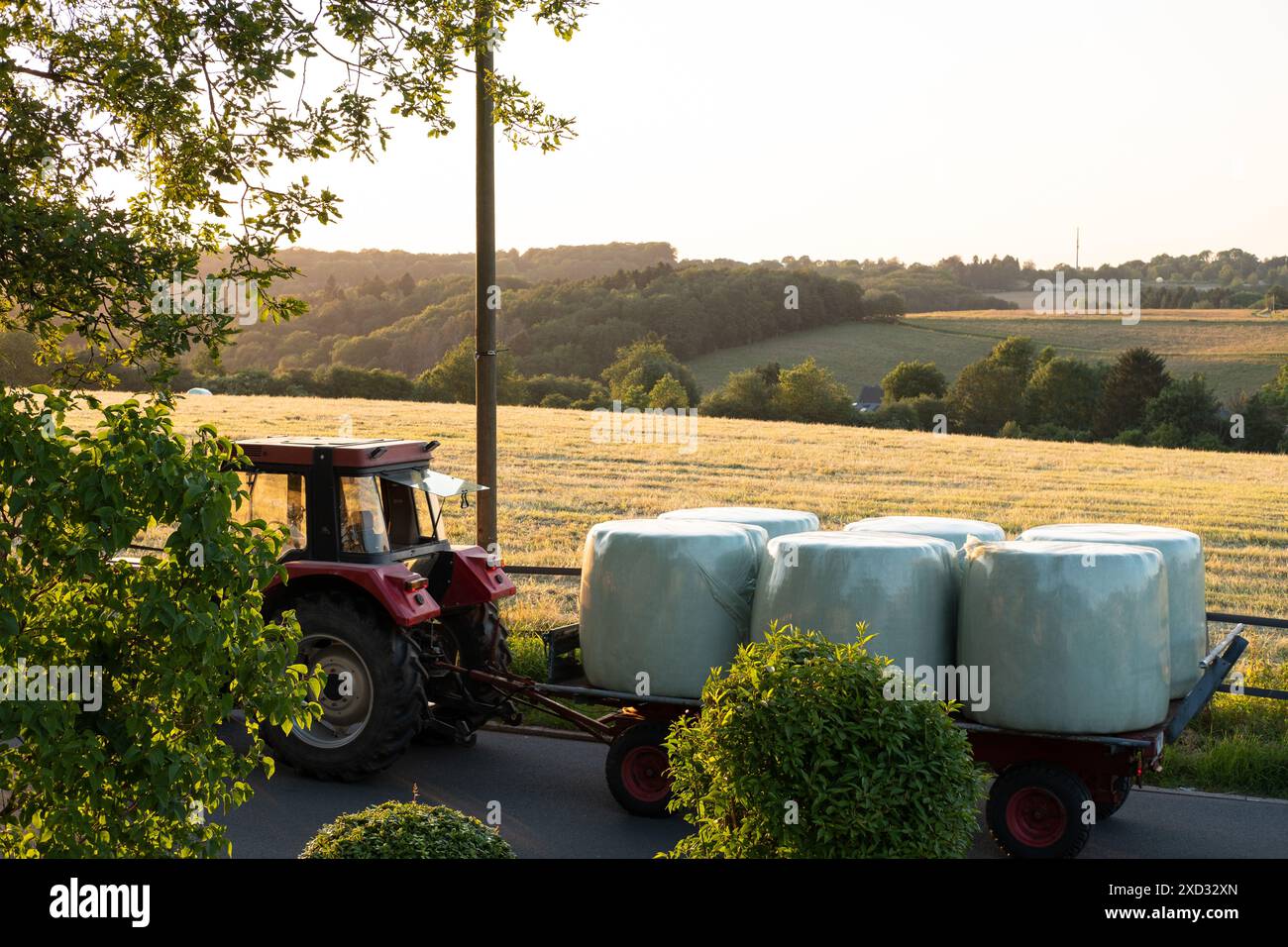 tractor with plastic silage hay bales drives on street in rural area ...