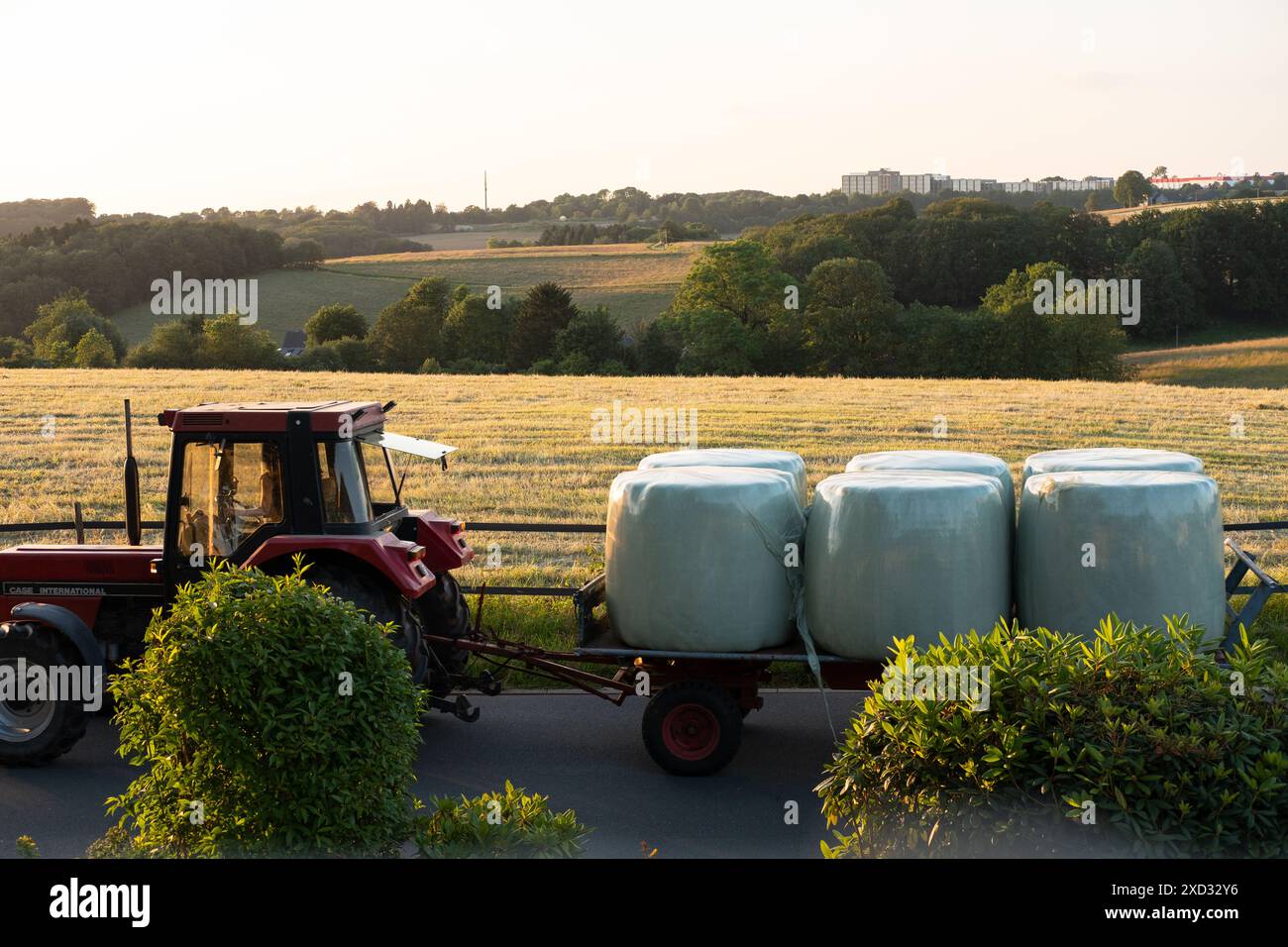 tractor with plastic silage hay bales drives on street next to field ...