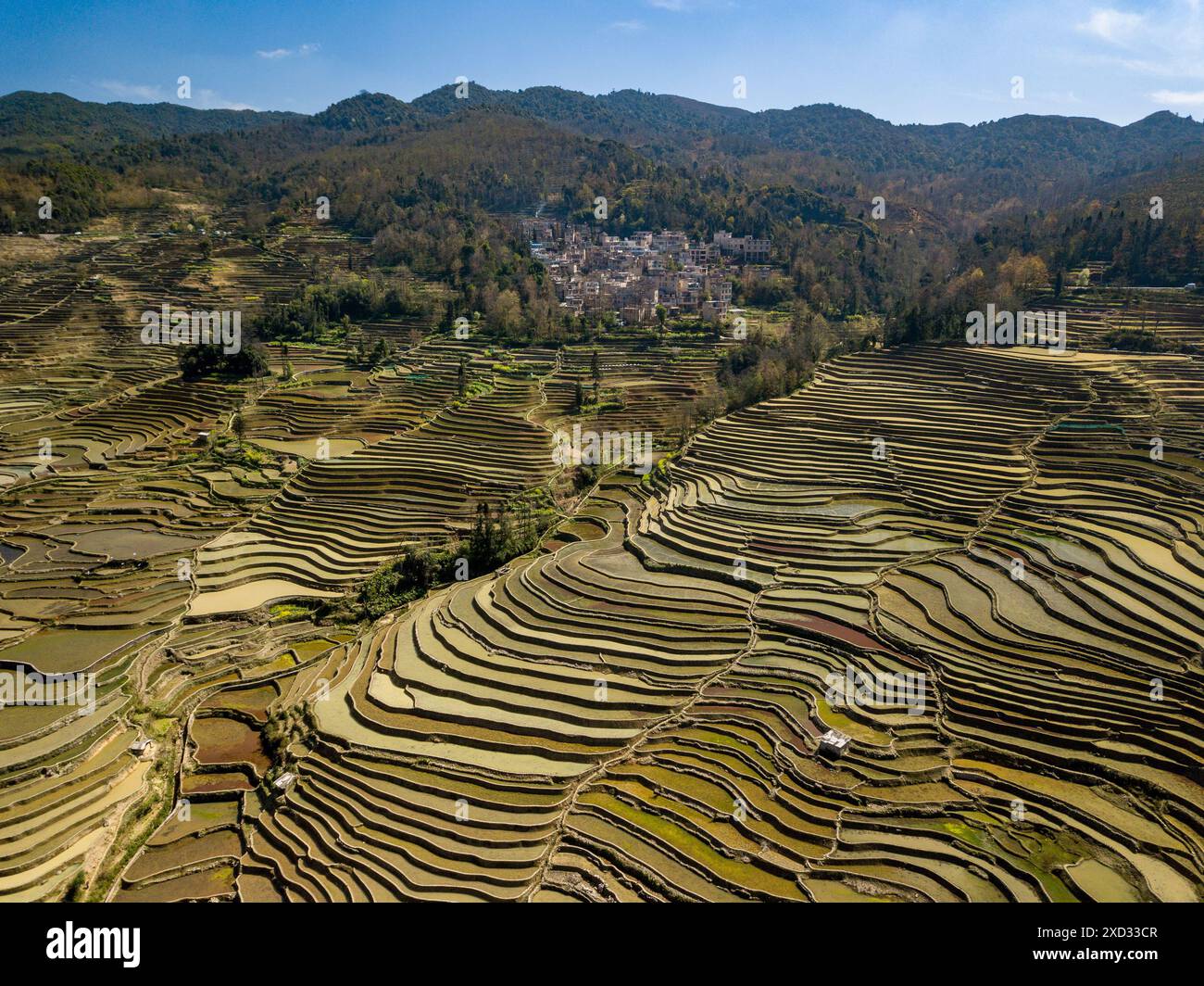 Aerial drone view of Yuanyang rice terrace at sunrise, Yunnan province ...