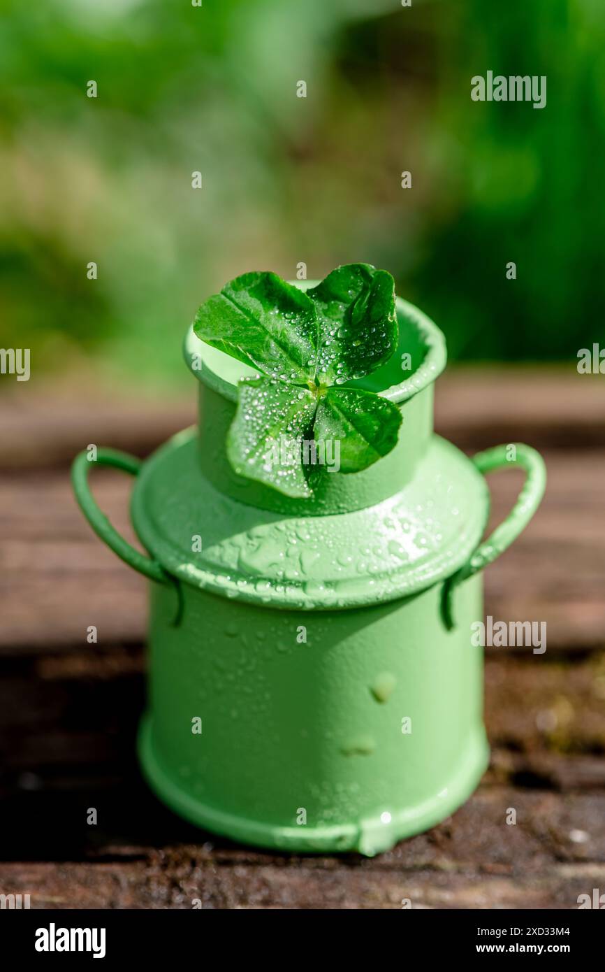 Four-leaf clover in green bucket in nature, natural background, symbol ...